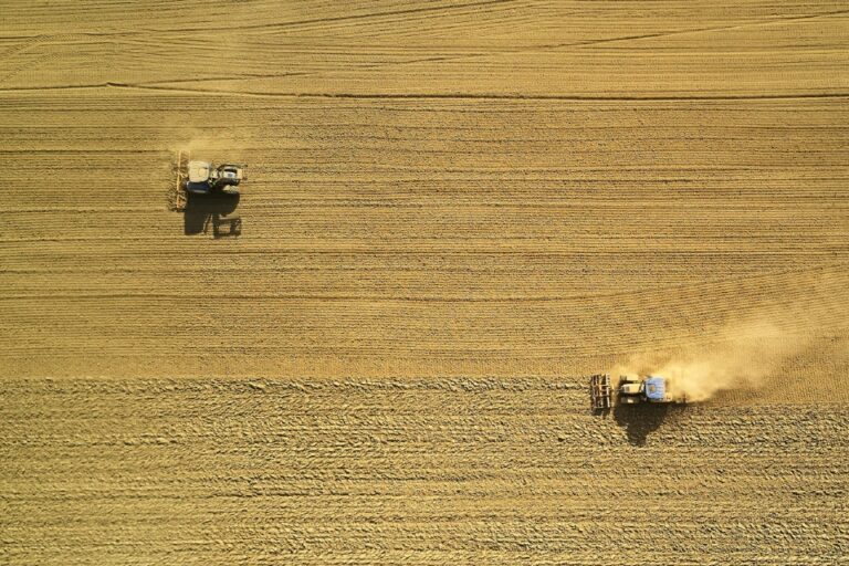 Funding and Scalability of UK Farming: The agriculture outlook 2025 ...